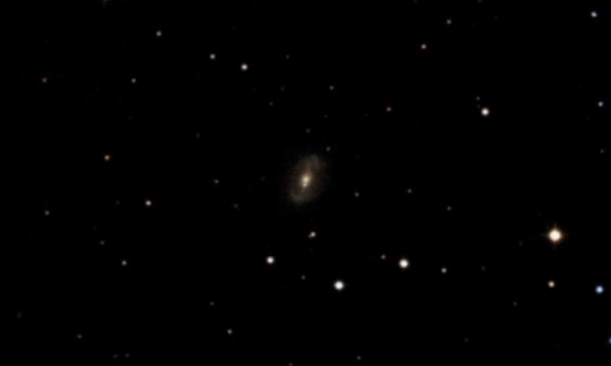 UGC 2267 (Galaxy) - In-The-Sky.org